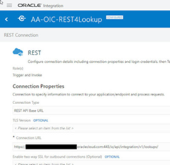 OIC REST API for Lookups by Niall Commiskey | PaaS Community Blog